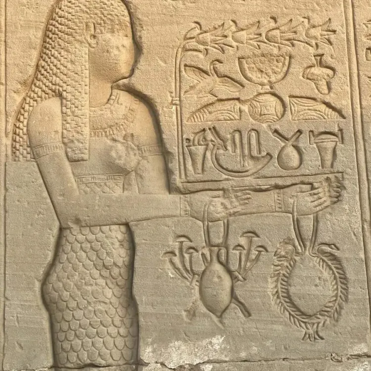 The History of Psychedelics - Theta Health